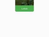 How To Create A Reusable Widget Card Flutter Flutter Fixes
