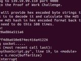Python Could Not Receive From Server After Sending Message Over Stack