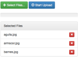 Javascript Implementing Remove Buttons For Jquery File Upload Stack
