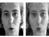 R How To Reconstruct An Image After Performing Pca On Face Image