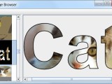 Java Adding Multiple Images In Single Jpanel Stack Overflow