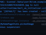 Flutter Unhandled Exception Platformexception Null Error Host
