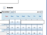 Swing Selecting Date Of Birth Using Jcalendar In Java Stack Overflow