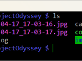 Raspbian Trouble Capturing Images From A Raspberry Pi Camera Using