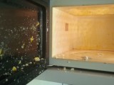 Exploding Shelled Egg In Microwave Seasoned Advice