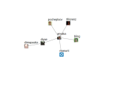 Javascript Network Graph Visualization Node Click And Render A Page