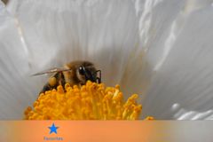 Ios Uitabbar Transparent Background Overlapping Uitableview Stack - Download Stunning Geometric Pattern | Full HD