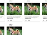 Angular How To Display Mat Cards From Left To Right Only Angularfix