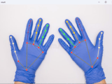 Python How To Make The Hand Detection Of Mediapipe Work On Hand With