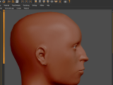 Modeling What Skills Are Required To Model Sculpt This Head