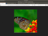 Javascript Using Cropper Js Image Quality Get Reduced After Cropping