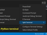 Add Python Terminal In Vs Code Stack Overflow