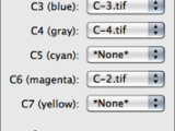 Alignment How To Merge Different Stacks Together In Imagej Stack