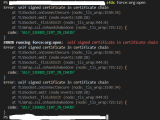 Salesforcedx Vs Code And Sfdx Salesforce Error Self Signed