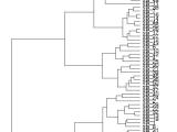 Horizontal Dendrogram In R With Labels Stack Overflow