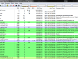 Sysinternals Process Explorer Molipussy