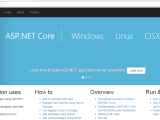Iis Asp Net Core Website Home Page Is Displaying Different On Ie