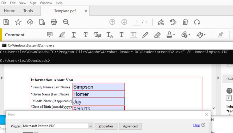 Adobe Forms Pdf Parameter Computer Programming Software Engineering - Nature Art Collection - 8K Quality