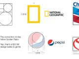 Images How Does The Golden Ratio Spiral Work Is It Useful With Logo