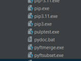 Pycharm Python Virtualenvs Bin Folder Does Not Have Python Stack
