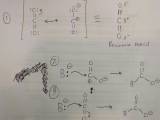 Structure Of Co2