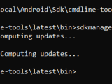 Android Sdkmanager Tool Found But Failed To Run For Flutter Doctor