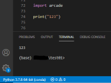 Why There Is No Import Of Arcade Module In Vs Code For Python Stack