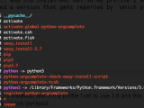 Python Venv Activate