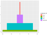 Ggplot2 Varied Height Pyramid Plot In R Stack Overflow