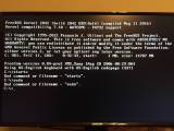 Linux Mint Cinnamon Won T Boot To Gui Only Freedos Unix Linux