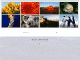Responsive Image Gallery Using Css Flexbox Or Grid Layout Stack Overflow