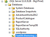 Sql Server Database Stuck In Restoring State Stack Overflow