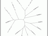 C Binary Tree Visualization Circular Tree Qt Stack Overflow