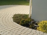 Geometry Node Paved Path Blender Stack Exchange
