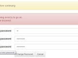 Usability Presenting Both Information And Validation Errors In The