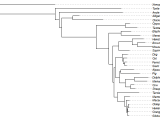 R Link Tip Labels To Phylogenetic Tree Using Dots And Fix Overcrowded