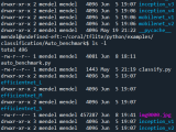 Sockets How To Execute Commands In A Remote Server Using Python