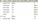 Retrieve Size Integer Values Sql Server Table With Information Schema