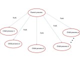 C How To Create Parallel Child Processes Using Fork Stack Overflow
