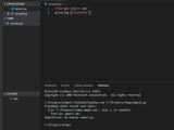 Not Able To Get Real Time Error In Visual Code During Python
