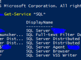 Sql Server Services Empty In Sql Server Configuration Database