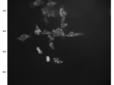 Python How To Do A Z Projection Like In Imagej Using Numpy Arrays