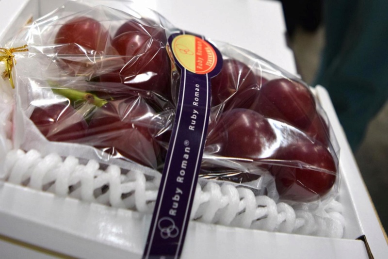Japanese grapes auction: Ruby Romans fetch record price of £8,000 | SUNBELZ
