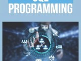 Learning Sql Programming Step By Step Guides For Starters Code Like