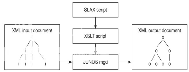 Cơ bản về XML trong JunOs Automation – Your mind makes your life!