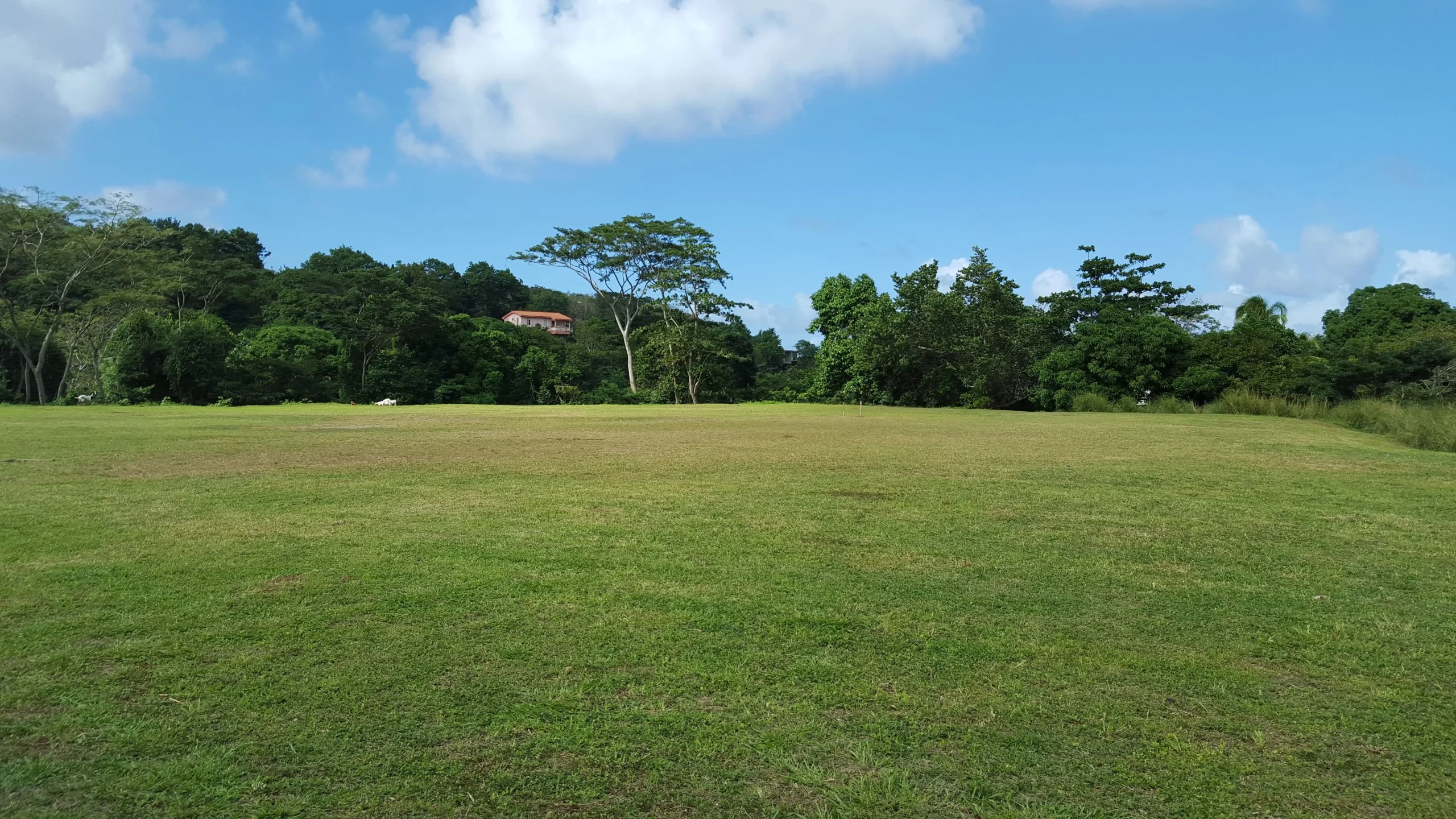 Community Service Construction Projects – Engineering and Construction 7000