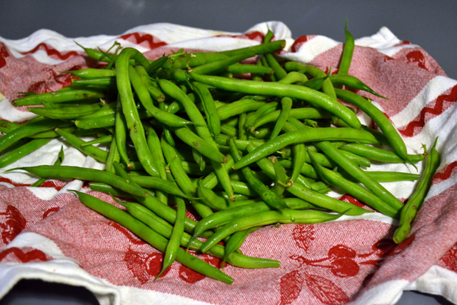 Sautéed Green Beans with Lemon and Almonds- SRC - I am a Honey Bee