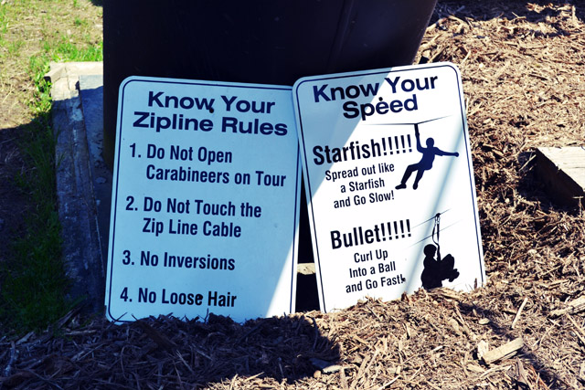 The day we went zip lining: Berkshire East - Charlemont, MA - I am a ...