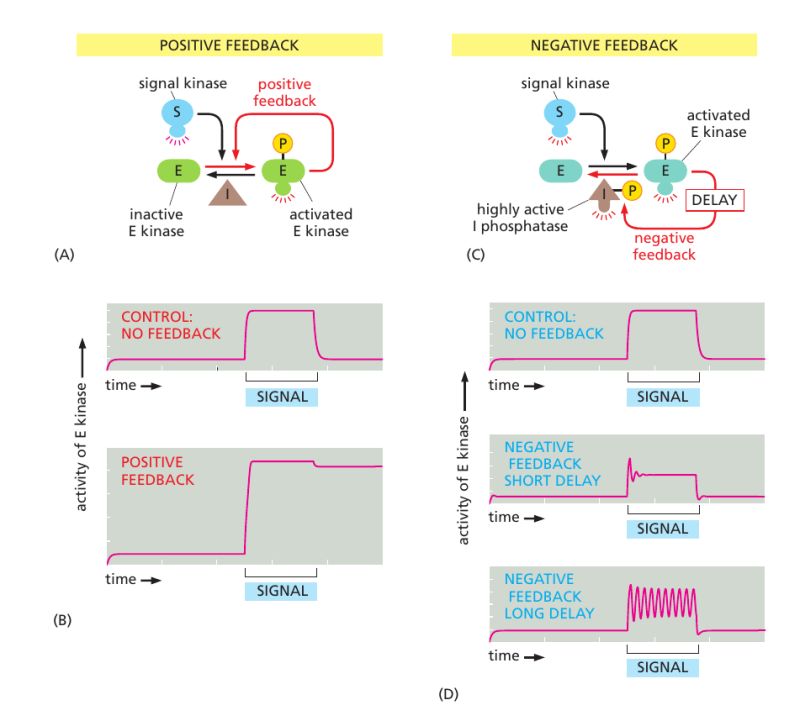 Github Pete Hall Rtk Feeback Loop - Creative Sunset Background - 4K