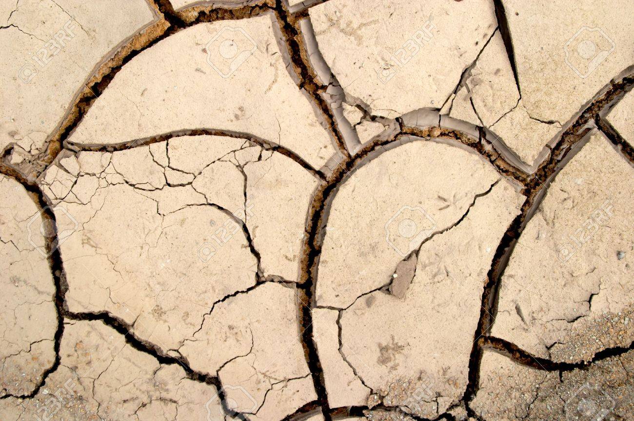 Christopher Alexander – The Fifteen Properties in Nature – iamronen